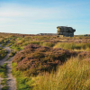 Home - Peak Wesley Way